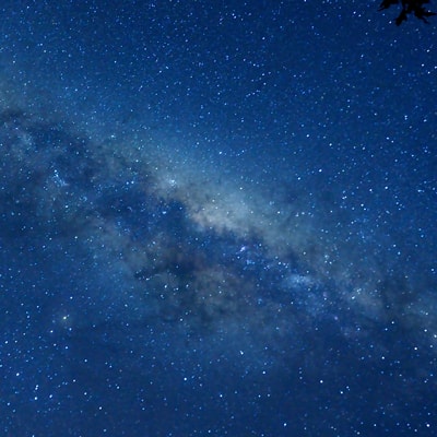 State-dependent Functioning – Dr. Bruce Perry | Your Experiences Matter